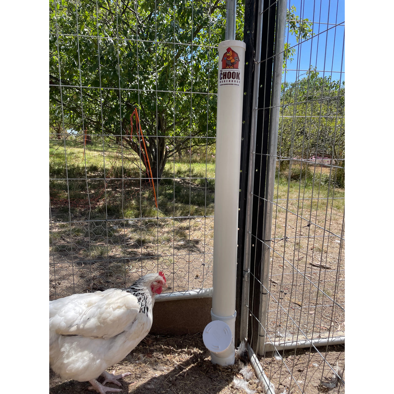 Chicken feeders- Australian made – Chook Warehouse