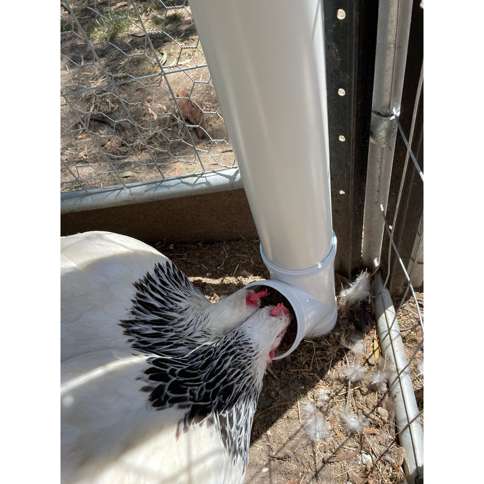 Chicken feeders- Australian made – Chook Warehouse